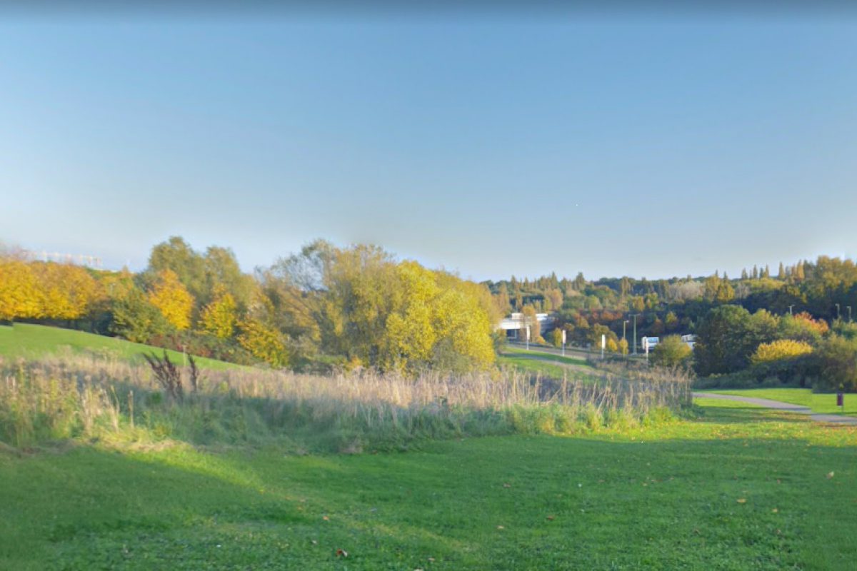 Dog walk at Secret Park (Short Fun Walk) · London (Greater) · Walkiees