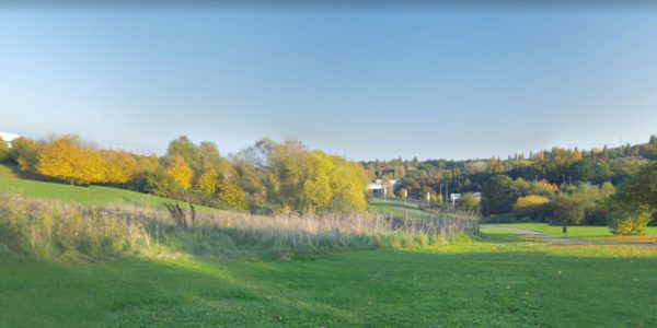 Dog walk at Stanmore Country Park - Walkiees