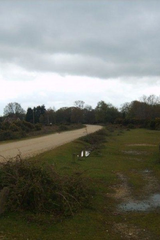 Dog walk at Setley Pond (New Forest) · Hampshire · Walkiees