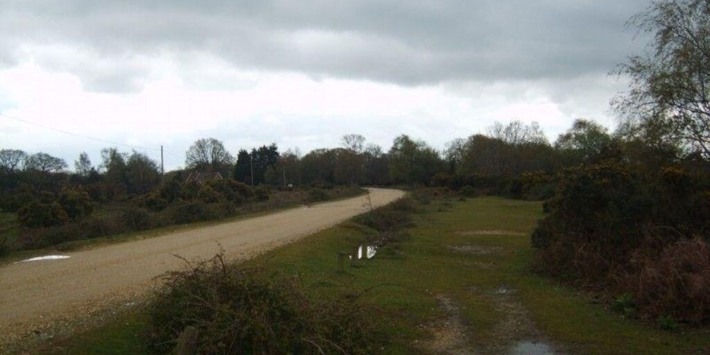 Dog walk at Setley Pond (New Forest) · Hampshire · Walkiees