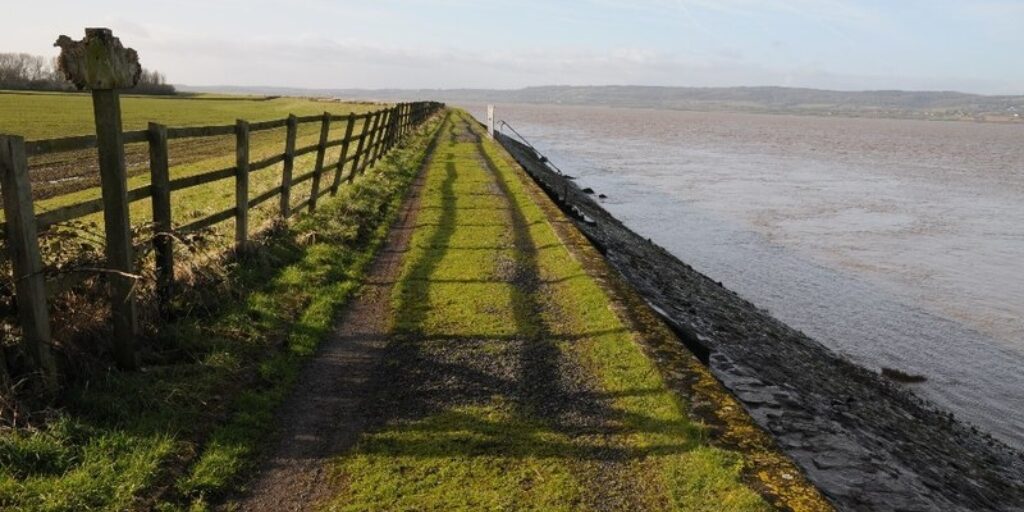 Dog walk at Severn Way, River Severn - Walkiees