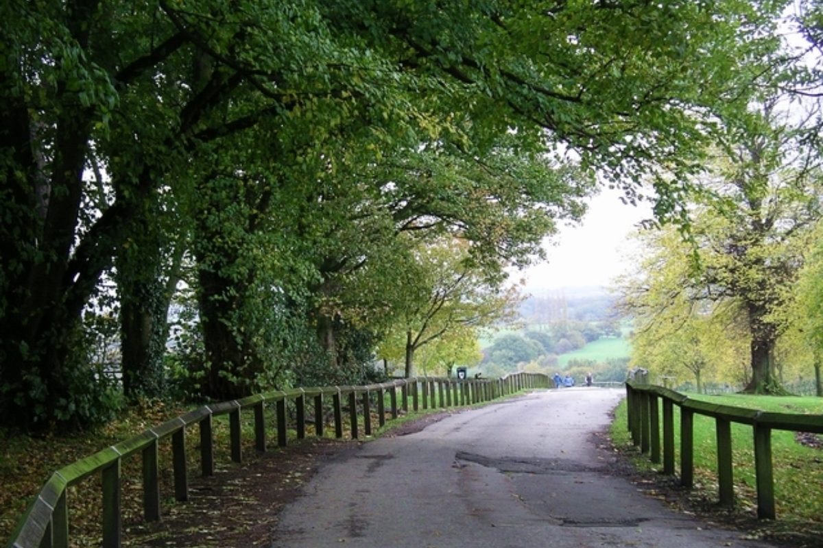 Dog walk at Shipley Country Park · Derbyshire · Walkiees