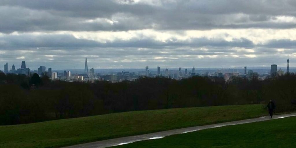 Dog walk at Stanmore Country Park - Walkiees