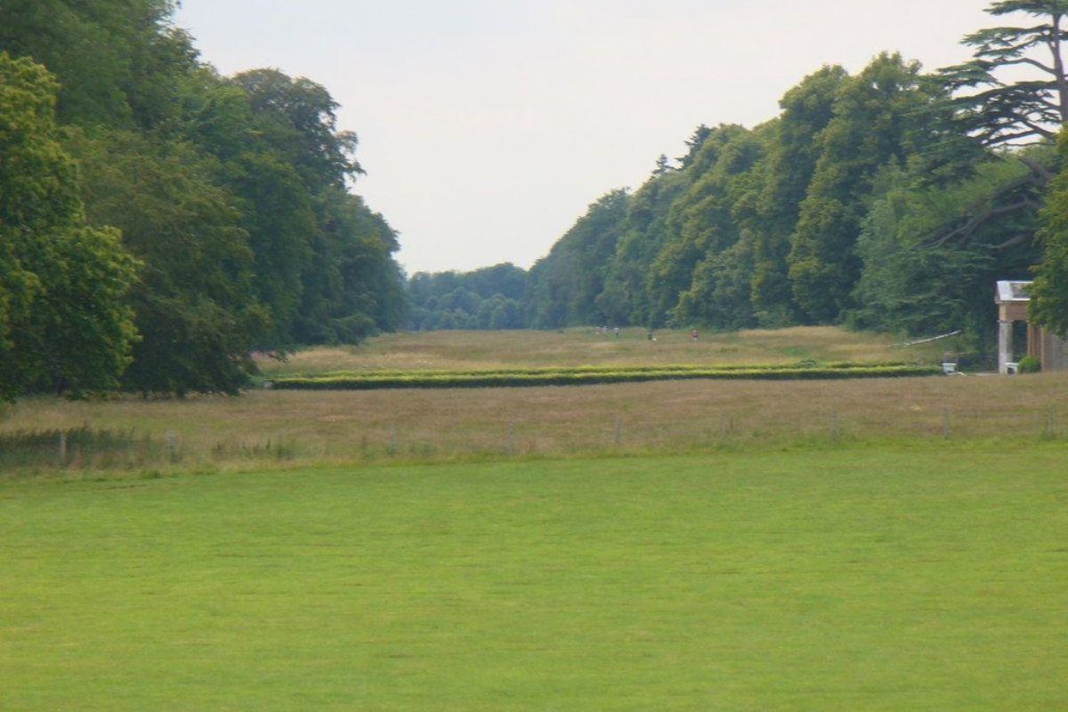 Dog walk at Stansted Forest · Hampshire · Walkiees