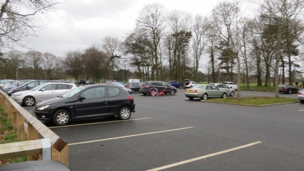 Dog walk at Billingham Beck Valley Country Park · Durham · Walkiees