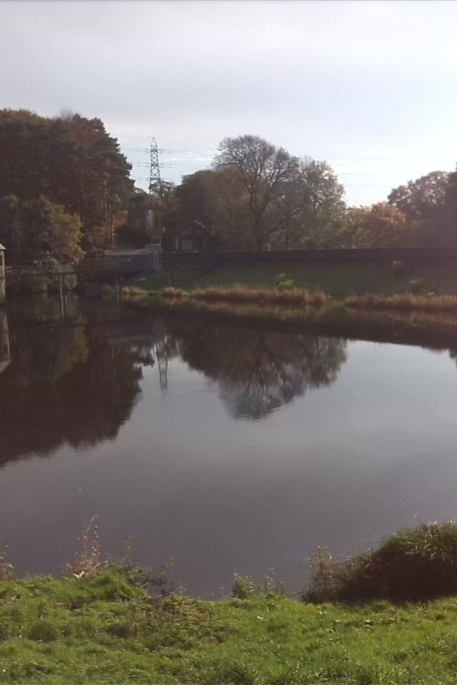 Dog walk at Swiss Valley Reservoir · Carmarthenshire · Walkiees