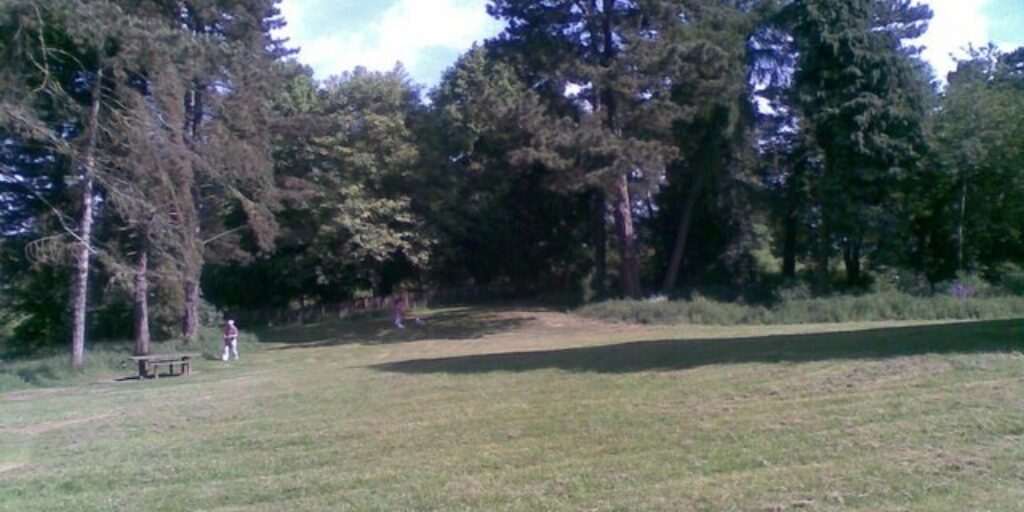 Dog walk at Sywell Country Park · Northamptonshire · Walkiees