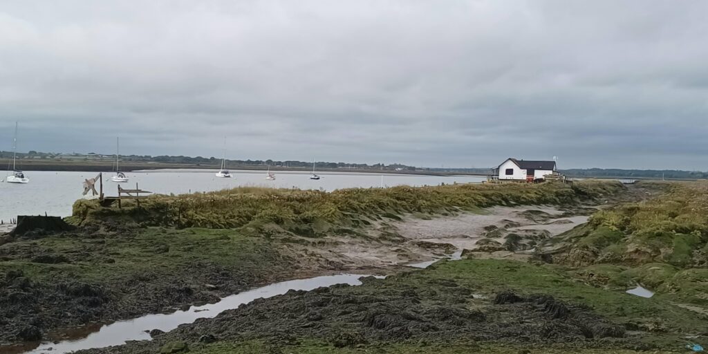 Dog walk at The Crouch Estuary · Essex · Walkiees