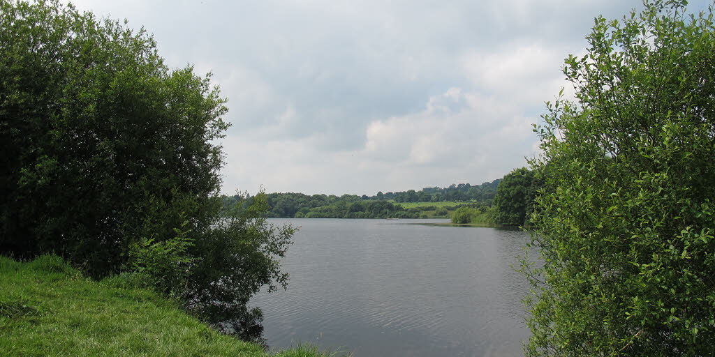Dog walk at Tittesworth Reservoir · Staffordshire · Walkiees