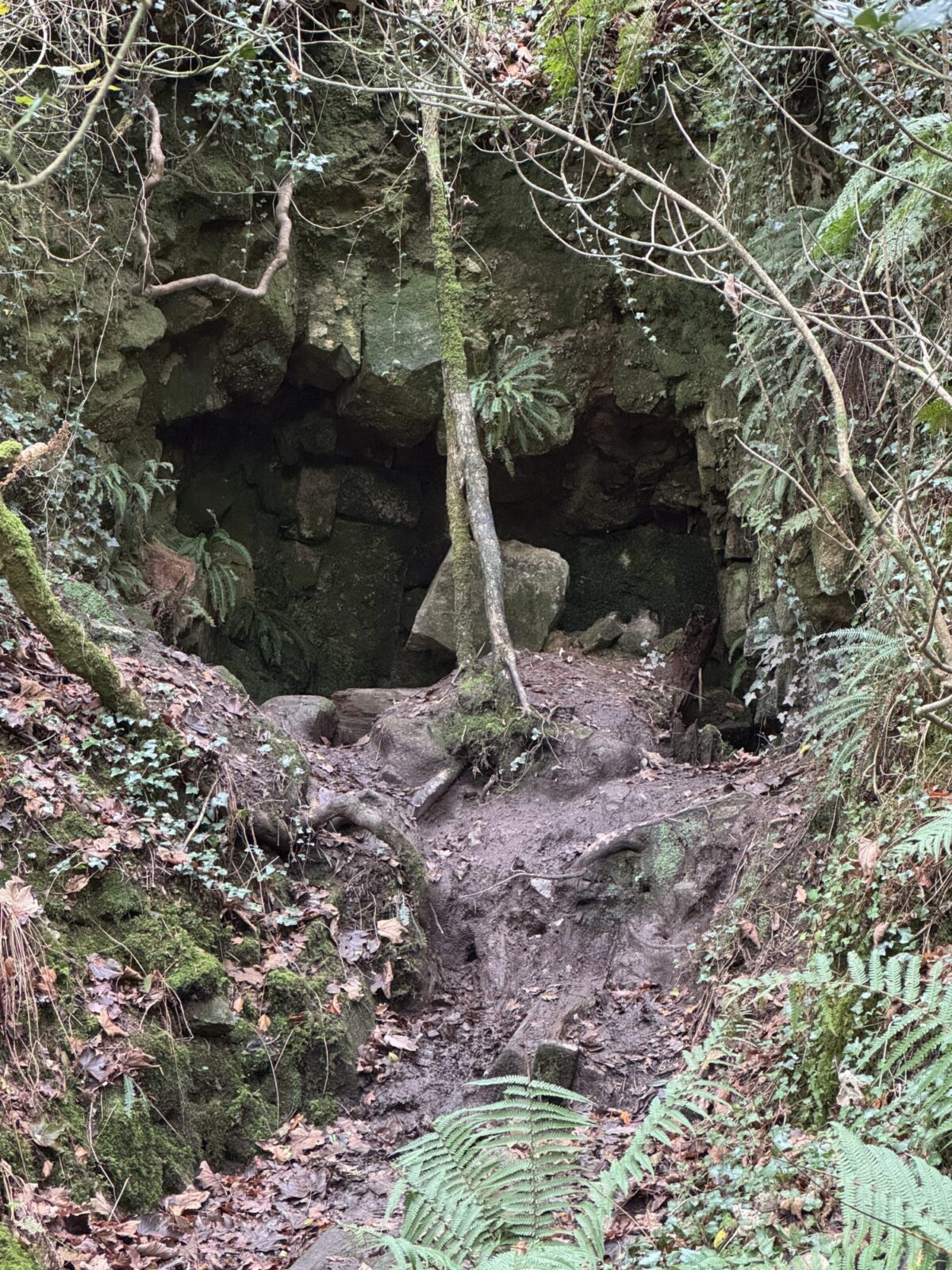 Dog walk at Tregargus Valley · Cornwall · Walkiees