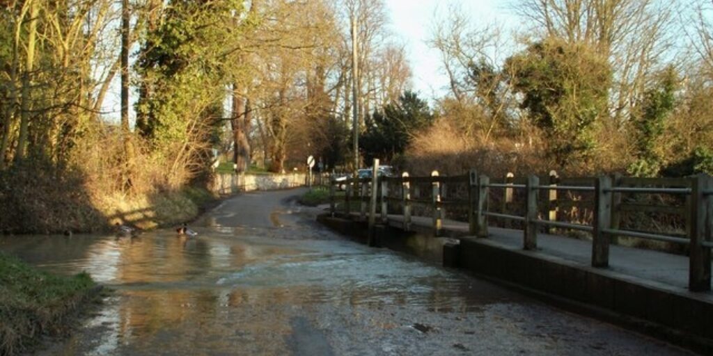 Dog walk at Walkern, 3 Mile · Hertfordshire · Walkiees