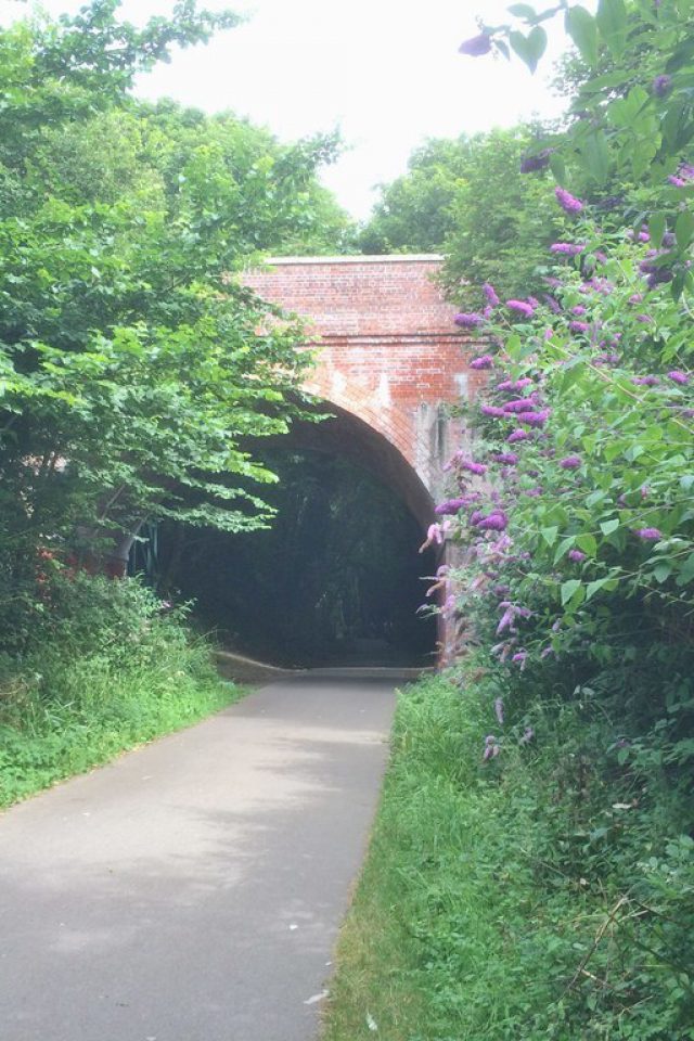 Dog walk at Weymouth To Portland Rodwell Trail · Dorset · Walkiees